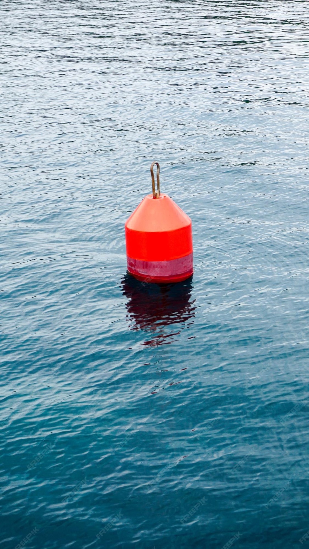 Simpson Bay lagoon channel buoy inspection | Port of Saint-Martin